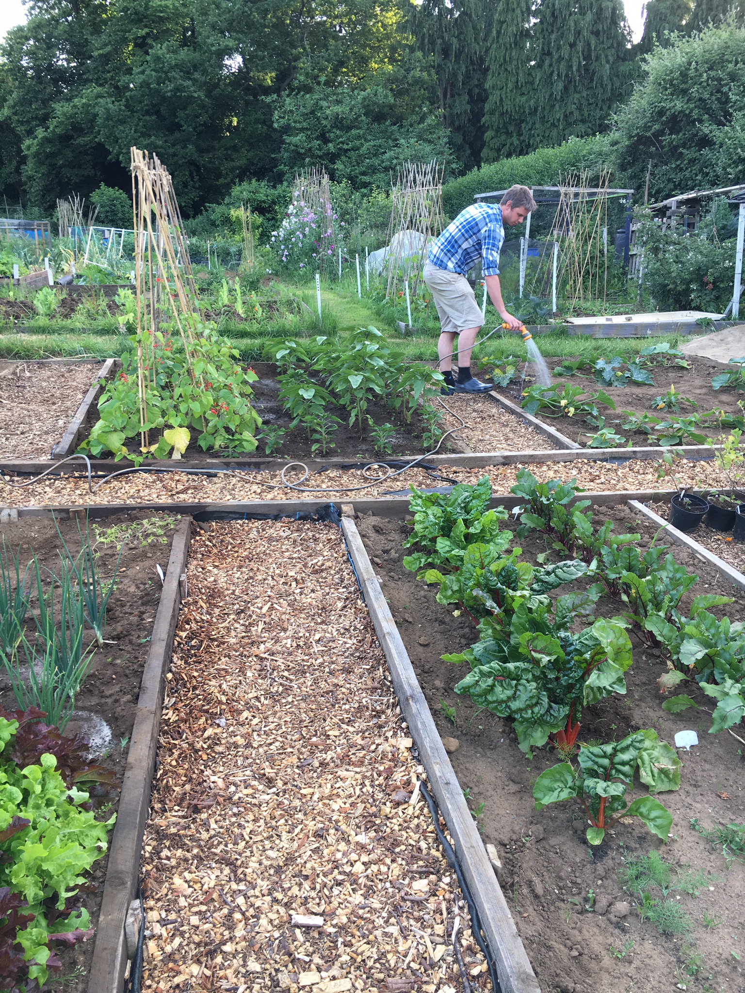 How we made it: the allotment – the good life ain't easy