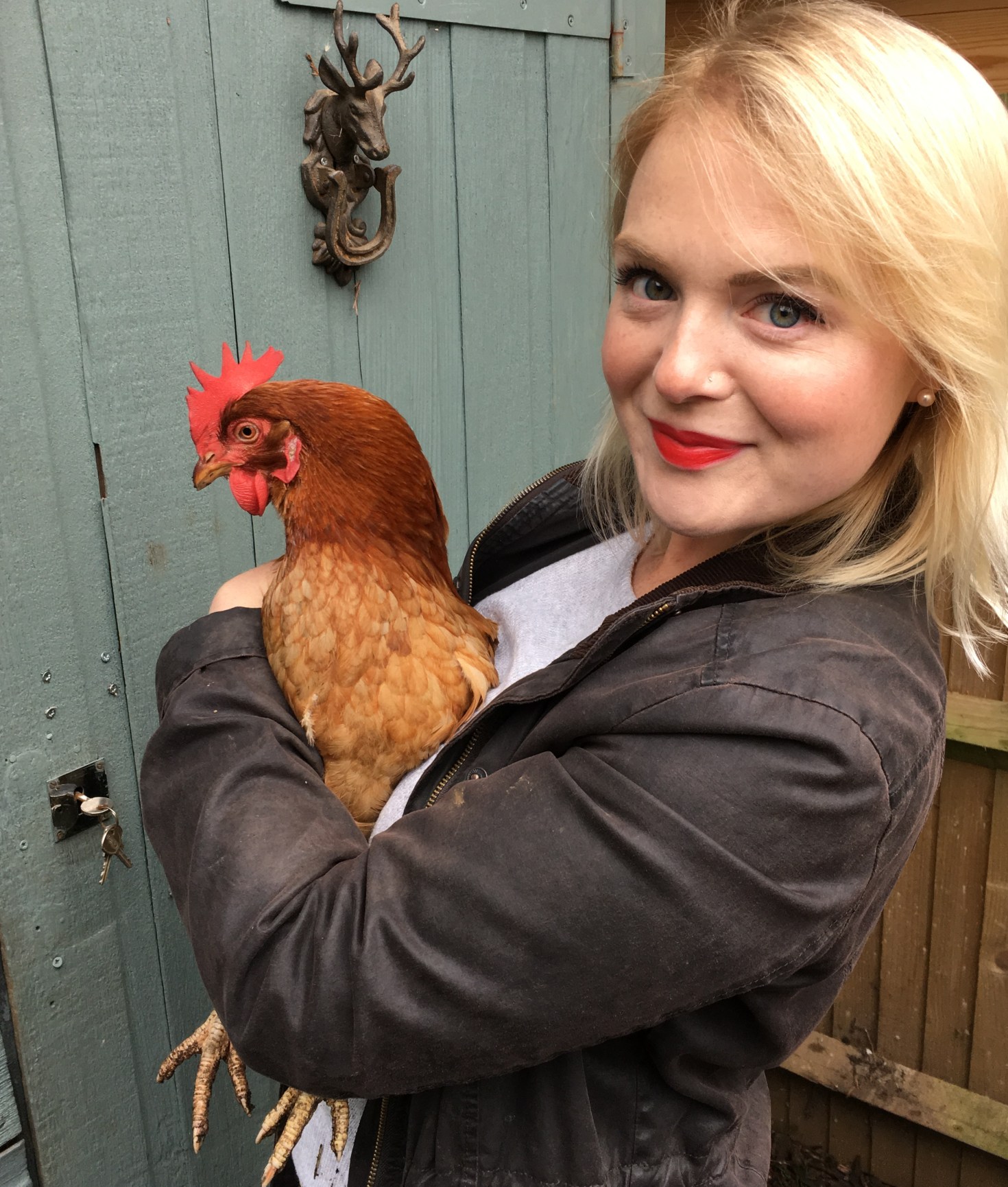 Chicken keeping: Battling egg-yolk peritonitis – the good life ain't easy