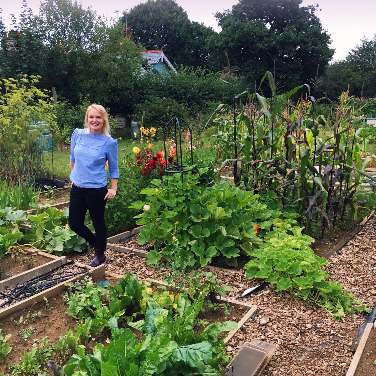 National Allotment Week: A way of life – the good life ain't easy